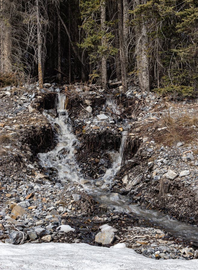 Roadside Run Off. Spray Valley Provincial Park. Alberta, Canada Stock ...
