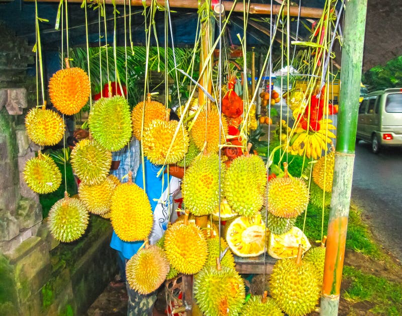 The Roadside Shop with Durians Stock Image - Image of sharp, scale ...