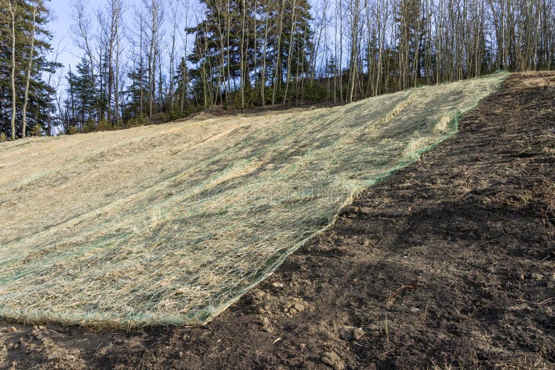 Roadside Slope Erosion Control with Single Net Blanket Installed on ...