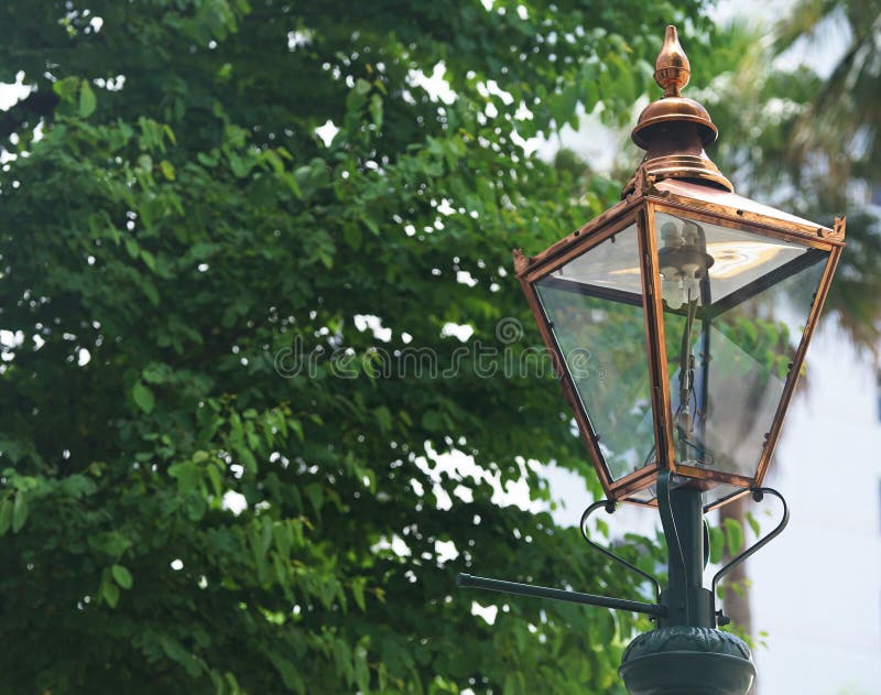 Streetlight stock photo. Image of light, tree, view - 263310406