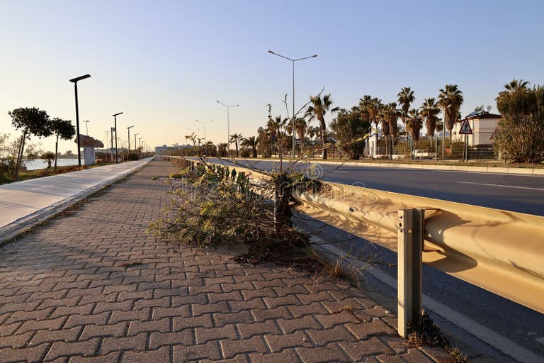 Roadside trees pathway stock photo. Image of roadway - 361246440