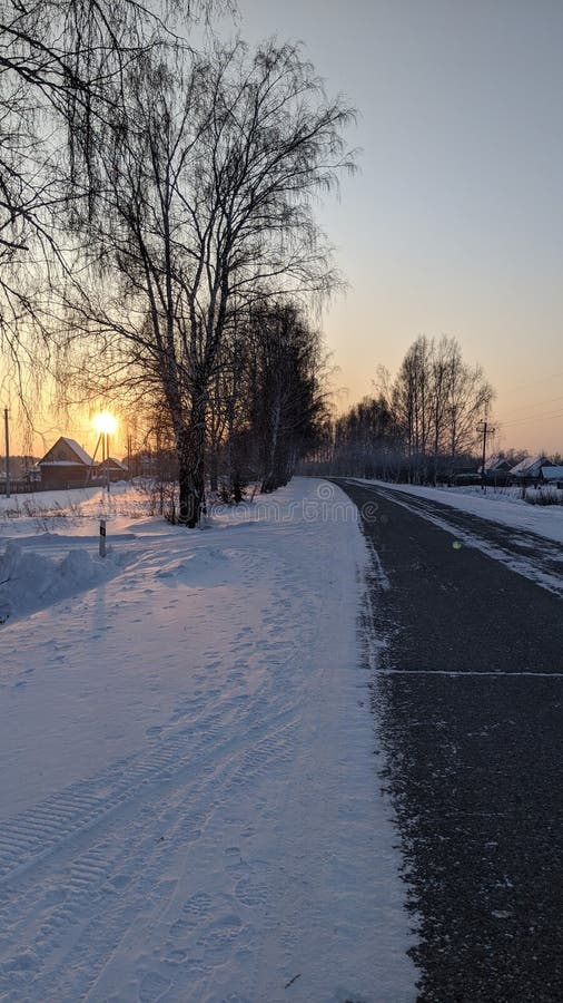 Roadside with Trees Sunset in Winter in the Cold Stock Image - Image of ...
