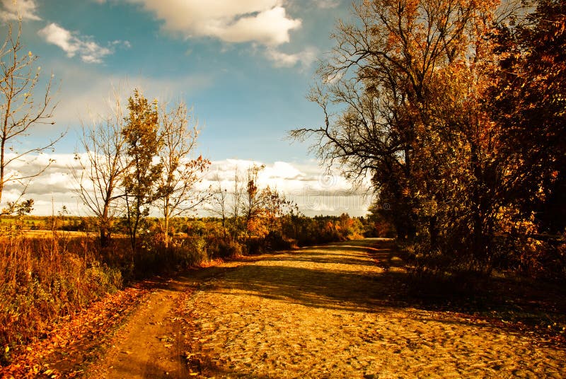 Roadside view stock image. Image of panorama, horizon - 11487461