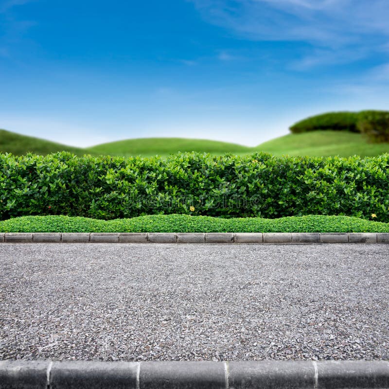 Roadside view and grass stock photo. Image of white, blue - 26434200