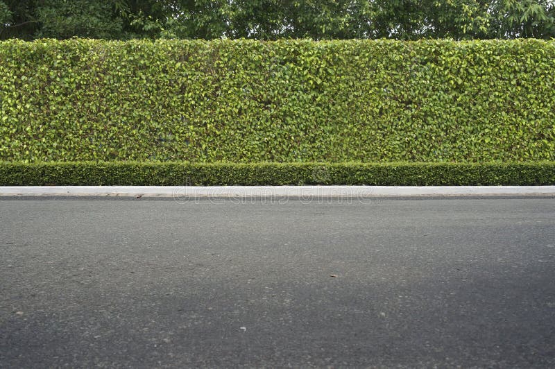 585 Roadside Hedge Stock Photos - Free & Royalty-Free Stock Photos from ...