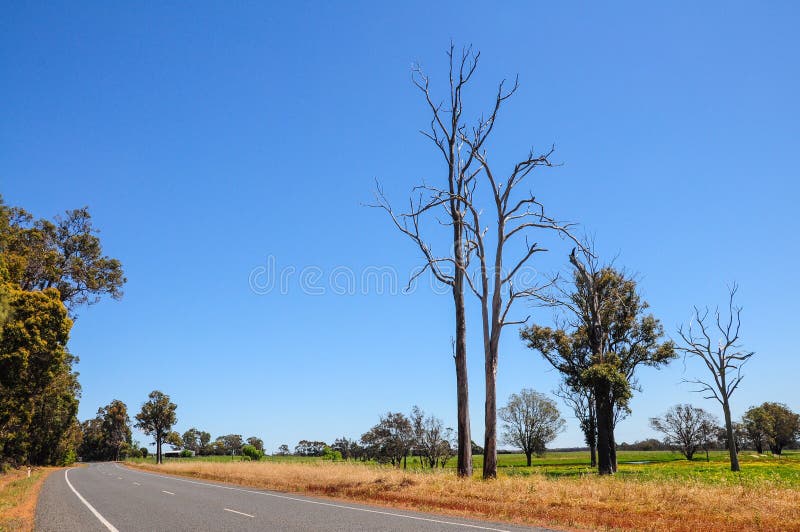 Roadside View on Spring Design. Stock Image - Image of drive, path ...