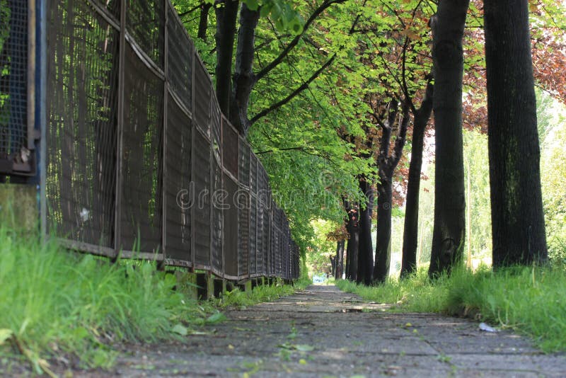 Roadside Walk Way in Bielsko-Biala Stock Image - Image of walk, trees ...
