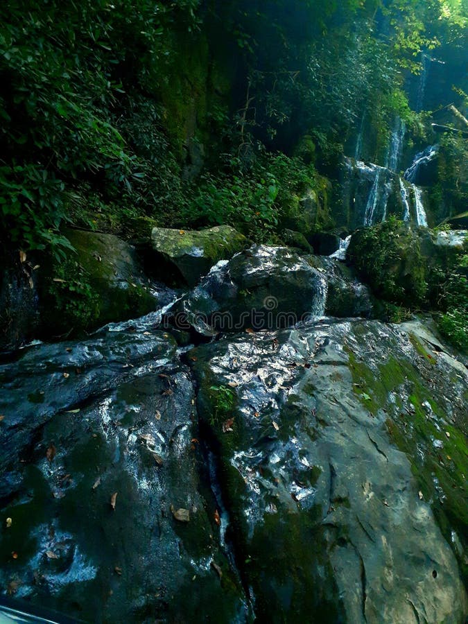 Roadside Waterfall Experience Stock Photo - Image of forest, tree ...