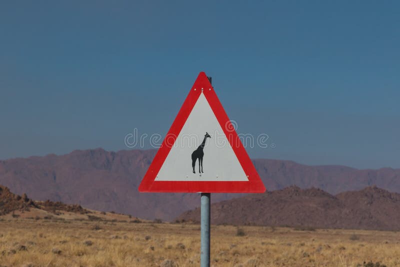 Roadsign Giraffe Crossing in Africa Stock Photo - Image of carefully ...