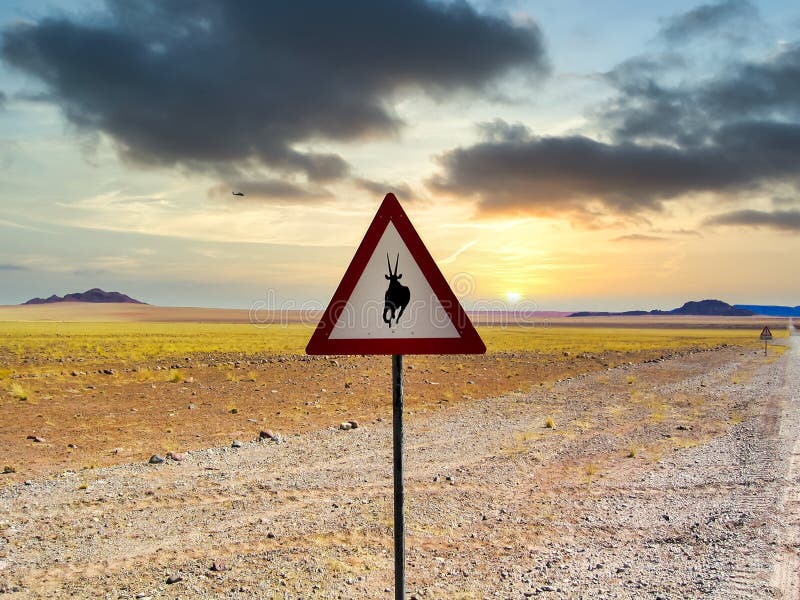 Roadsign Warning for Antelope Crossing the Road in Africa Stock Image ...