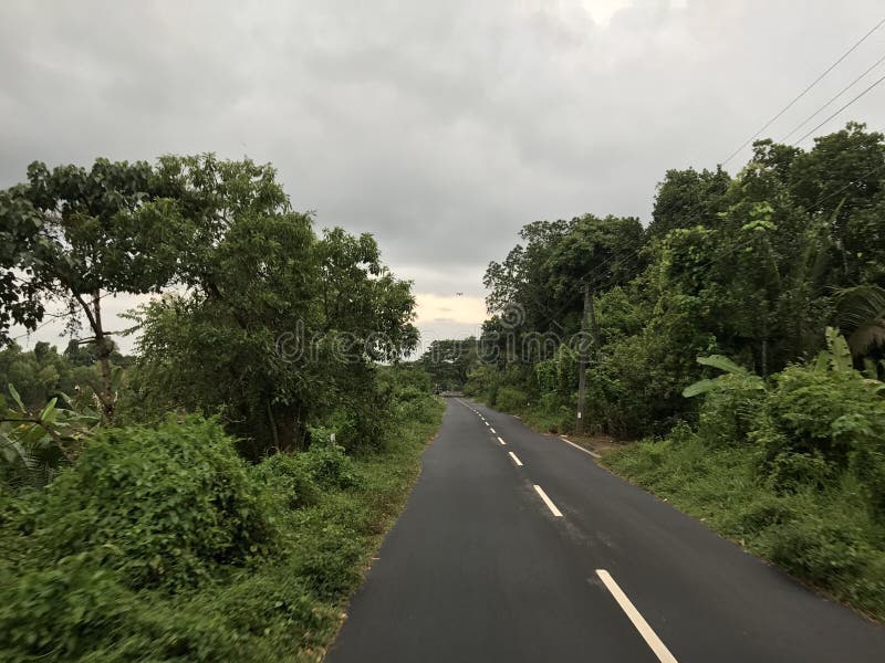 Roadway on Forest side stock image. Image of evening - 140635153