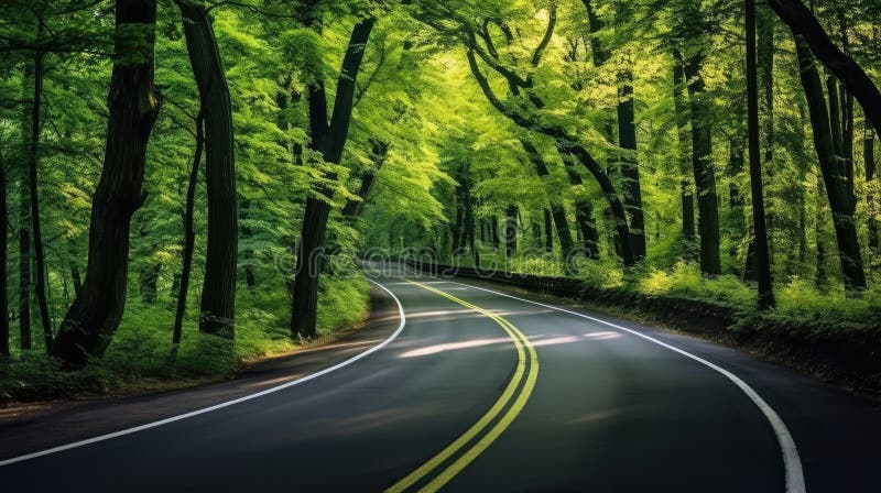 A Roadway Winding through Lush Green Trees, the Natural Splendor and ...