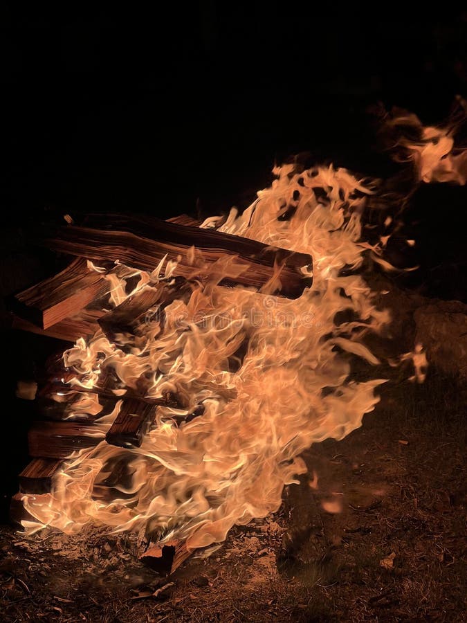 A roaring bonfire stock photo. Image of burning, bush - 322116376
