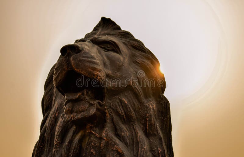 284 Roaring Lion Sun Stock Photos - Free & Royalty-Free Stock Photos ...