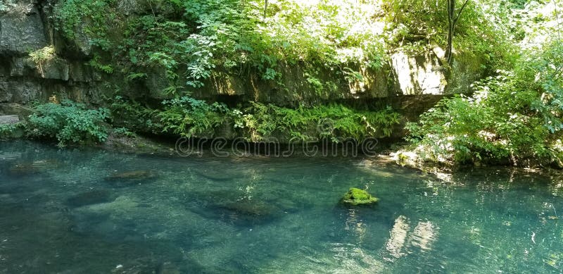 Roaring River Fish Hatchery Stock Image - Image of missouri, roaring ...
