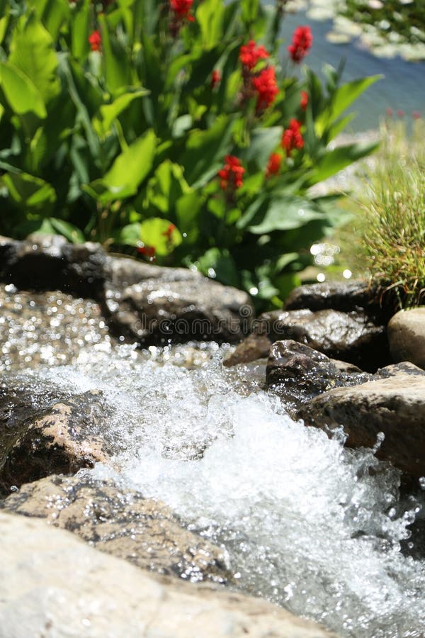 Roaring Rocky River and Many Blur Red Flowers in the Back Stock Image ...