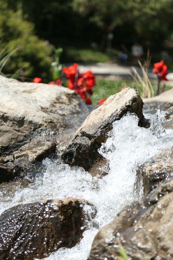 Roaring Water in a River with Rocks in the Way Stock Photo - Image of ...