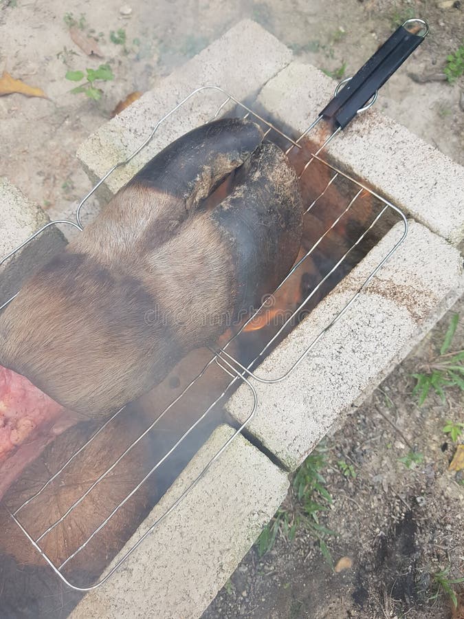 Roast beef feet stock photo. Image of reef, beef, roast - 229600638