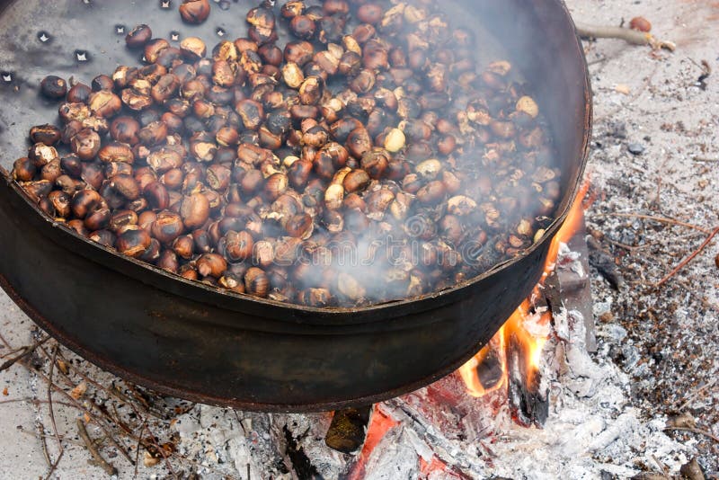Roasting chestnuts stock photo. Image of nature, domestic - 1377694