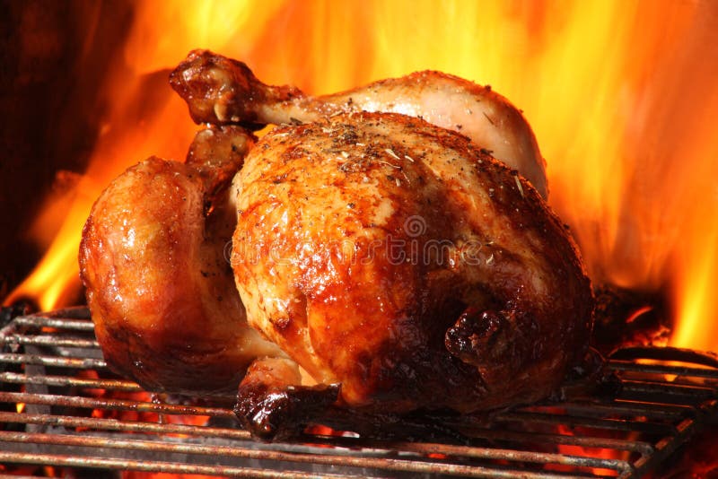 Roast Chicken stock image. Image of fuel, chicken, grill - 28656037
