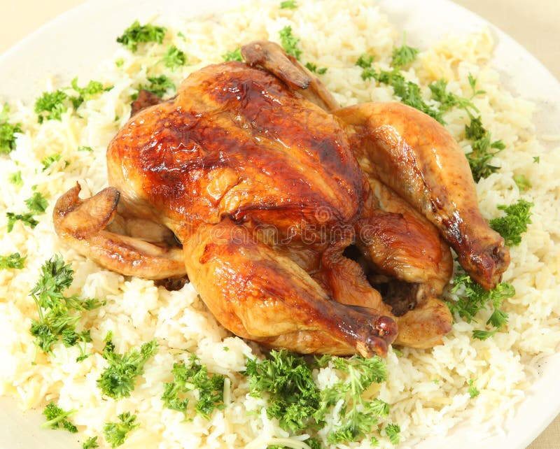Roast Chicken and Rice High Angle Stock Photo - Image of food, chopped ...