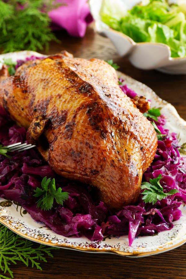 Roast duck with apples stock photo. Image of yellow, roast - 46269876