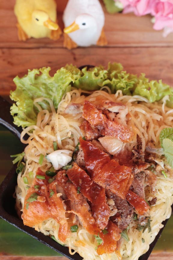 Roast Duck Noodle is Delicious. Stock Image - Image of vegetable, roast ...