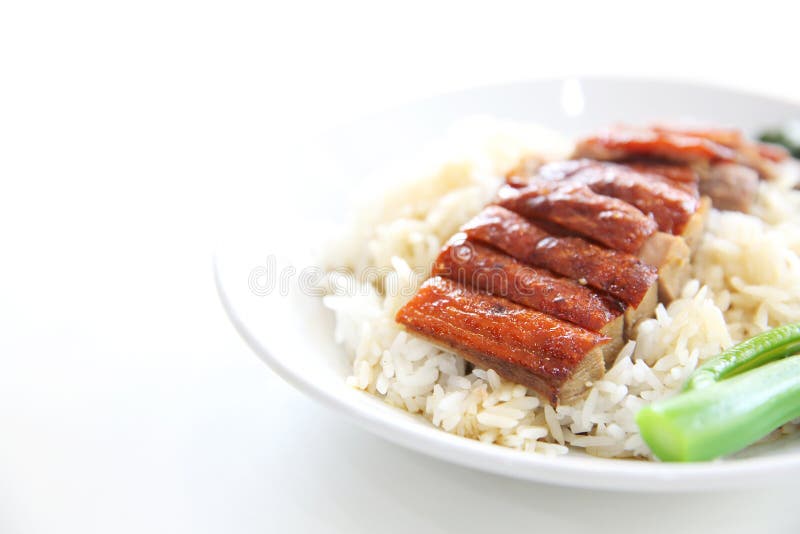 Roast duck over rice stock image. Image of bowl, sauce - 136994621