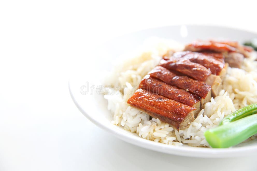 Roast duck over rice stock image. Image of bowl, sauce - 136994621