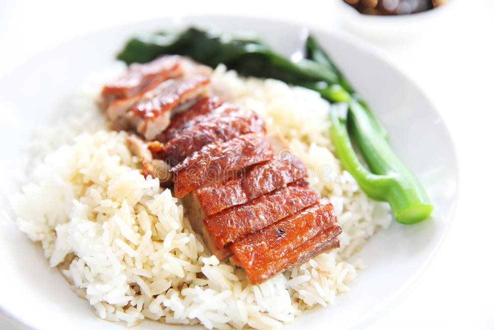 Roast duck over rice stock image. Image of gourmet, thai - 136994625