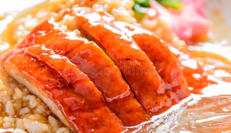 Roast duck over rice stock photo. Image of special, oriental - 34713982
