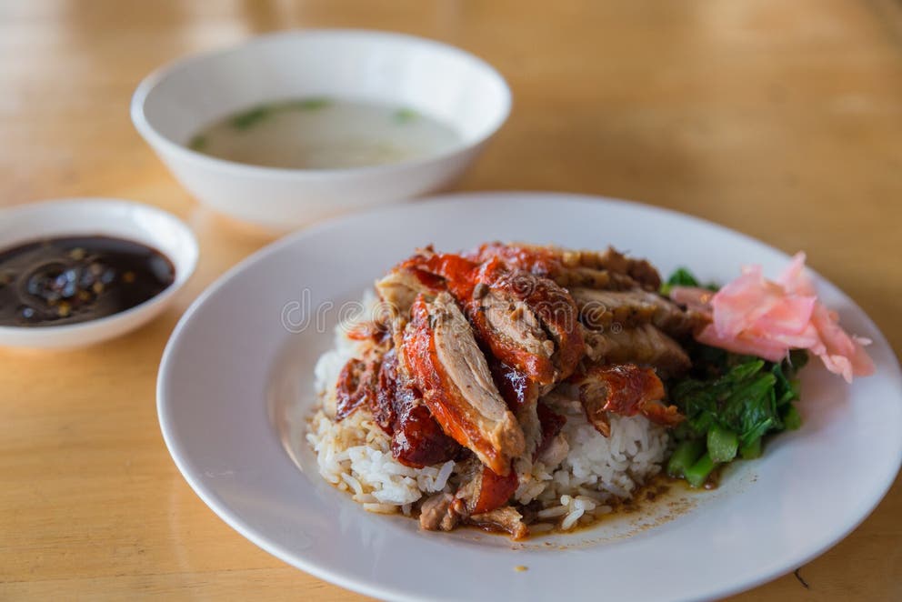 Roast duck over rice stock image. Image of style, duck - 64156487