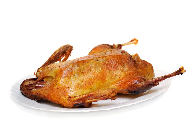 Roast duck on plate stock image. Image of dining, demi - 15706875
