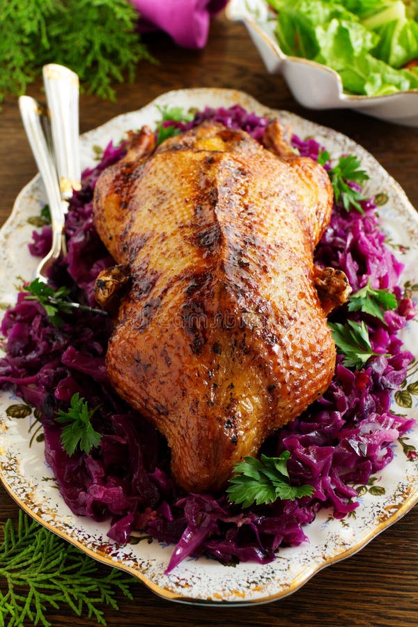 Roast duck with pumpkin stock image. Image of dinner - 47159477