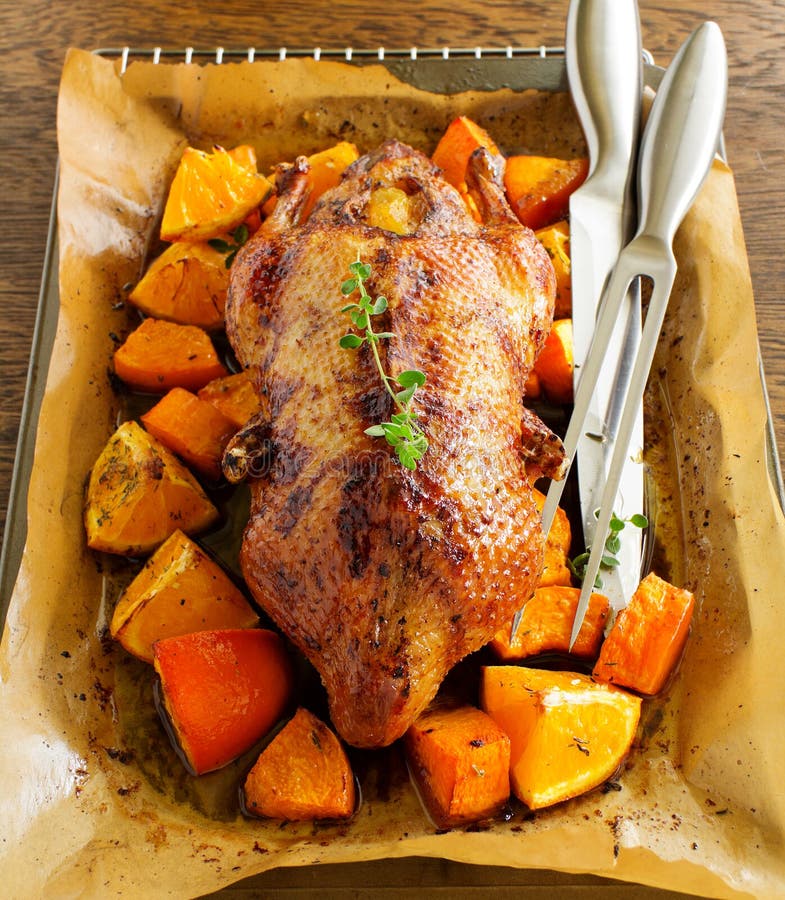 Roast duck stock photo. Image of dinner, yellow, pumpkin - 46252574