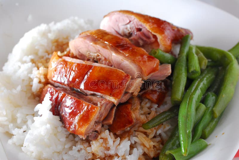 Roast duck rice stock photo. Image of rice, dish, duck - 26180768
