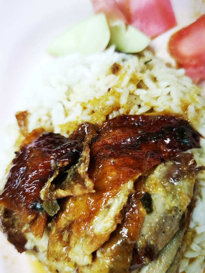 Roast duck with Thai rice stock image. Image of meat - 203301539