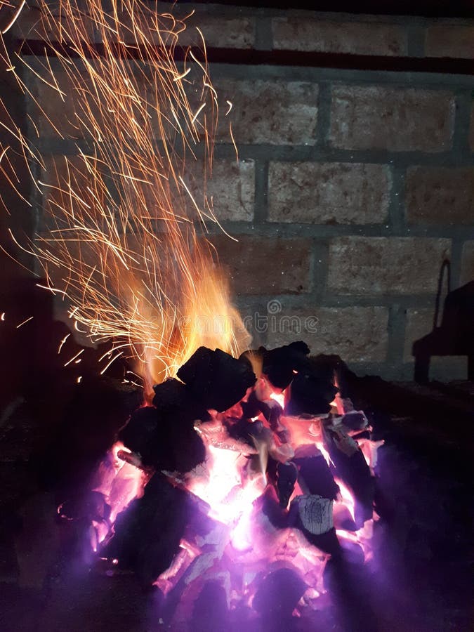 Roast on the fire stock photo. Image of american, cook - 20644776