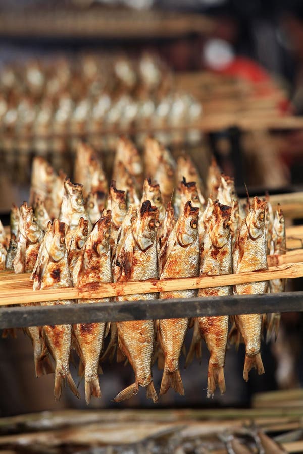 Roast fish stock image. Image of barbecue, dining, garnish - 49772209