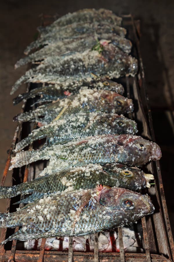 Roast fresh stock photo. Image of organic, food, cuisine - 39316932