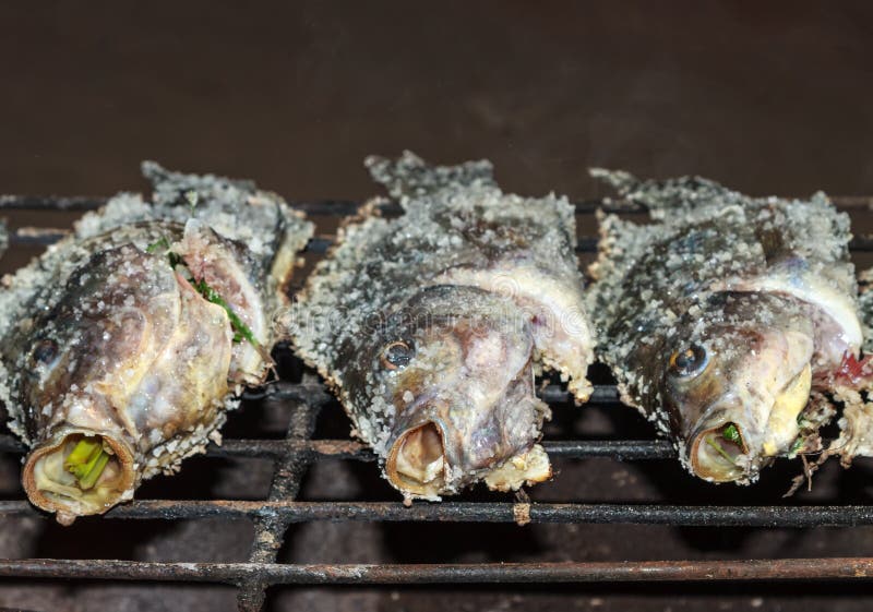 Roast fresh stock image. Image of aromatic, grid, cooking - 39316947