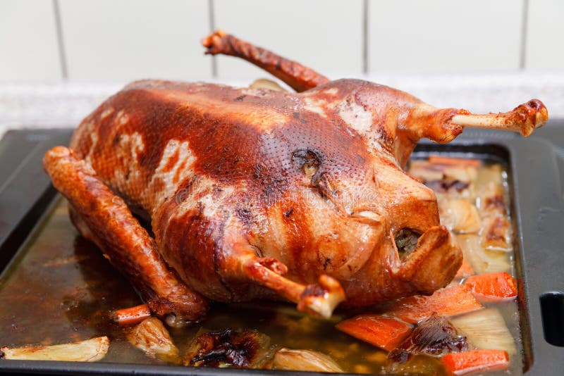 Funny Chef Perplexed and Angry. Loser is Destiny! Stock Image - Image ...