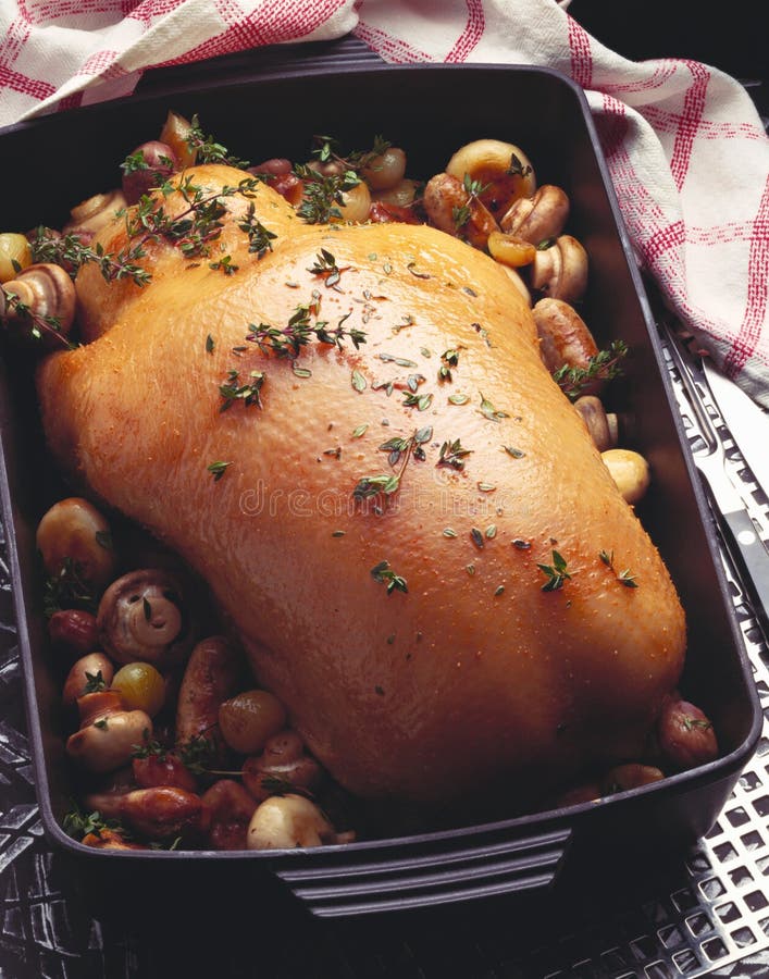 Roast goose in a pan stock photo. Image of potato, poultry - 53776488