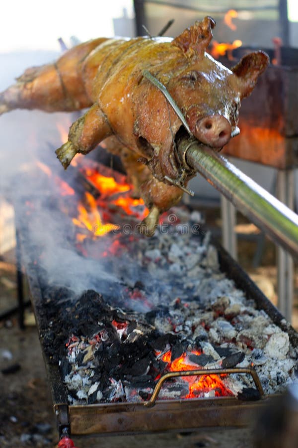 Full Pig Roast stock image. Image of preparation, pork - 29884543