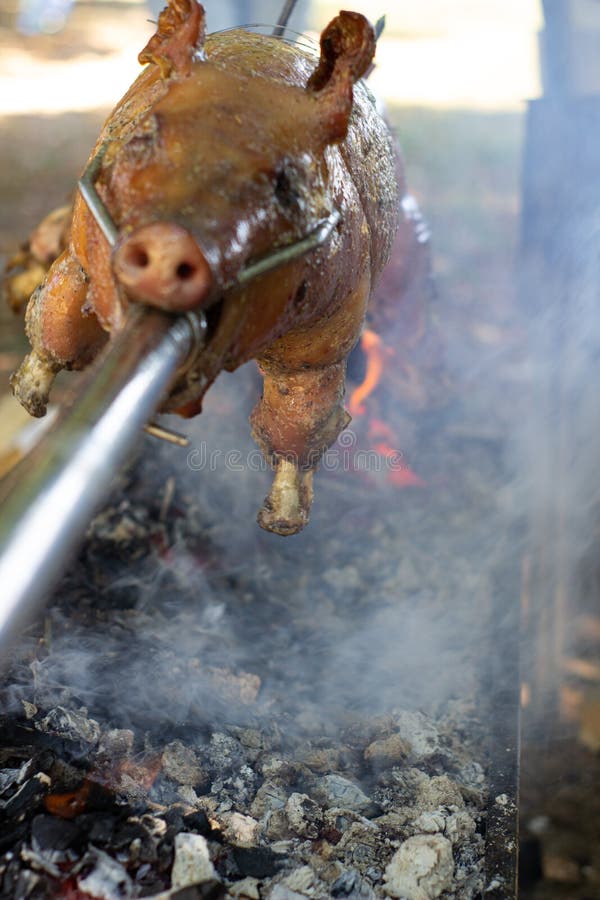Roast Pig on a Spit. Pig Cooking in Germany Stock Photo - Image of dead ...