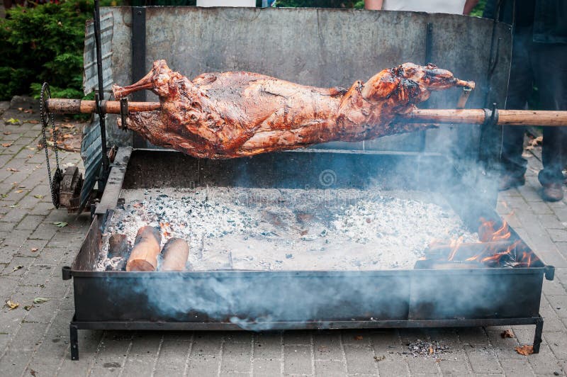 Roast Pig on a Spit Over Open Fire in a Backyard Setting Stock Image ...