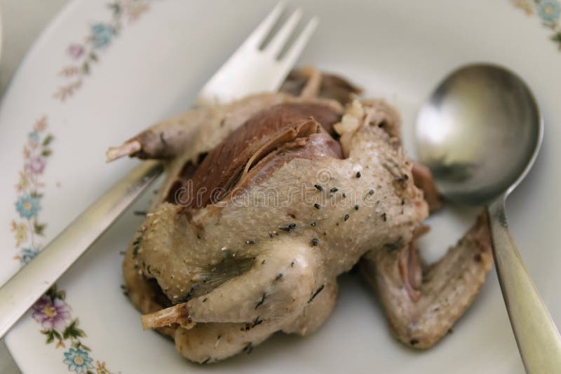 Roast Pigeon on a Plate Ready for Dinning Stock Image - Image of ...
