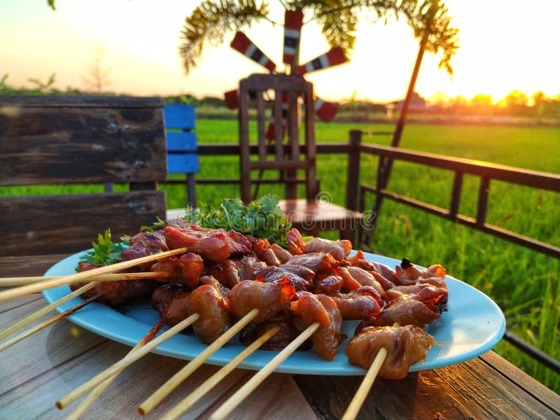 Roast pork stock image. Image of field, ricefield, pork - 151942773