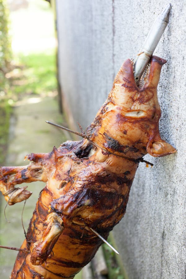 A pork roast on a spit stock photo. Image of meat, grilled - 104693542