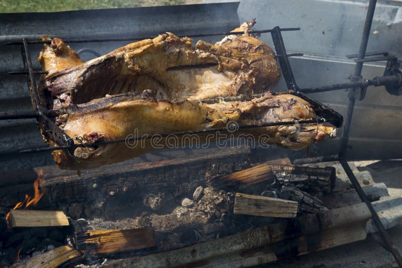 Roast Pork on a Spit. There is Fire Under the Piglet Stock Photo ...